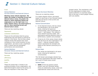 Cultural-Values-Assessment-Example Barret Model | PDF