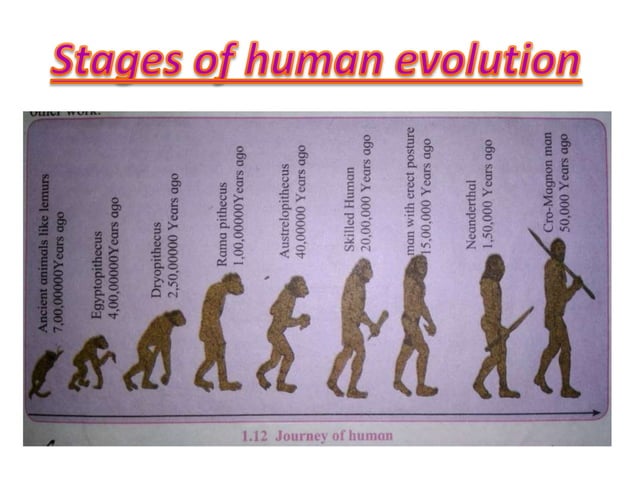Definition, Evolution and approaches of cultural geography. | PPTX