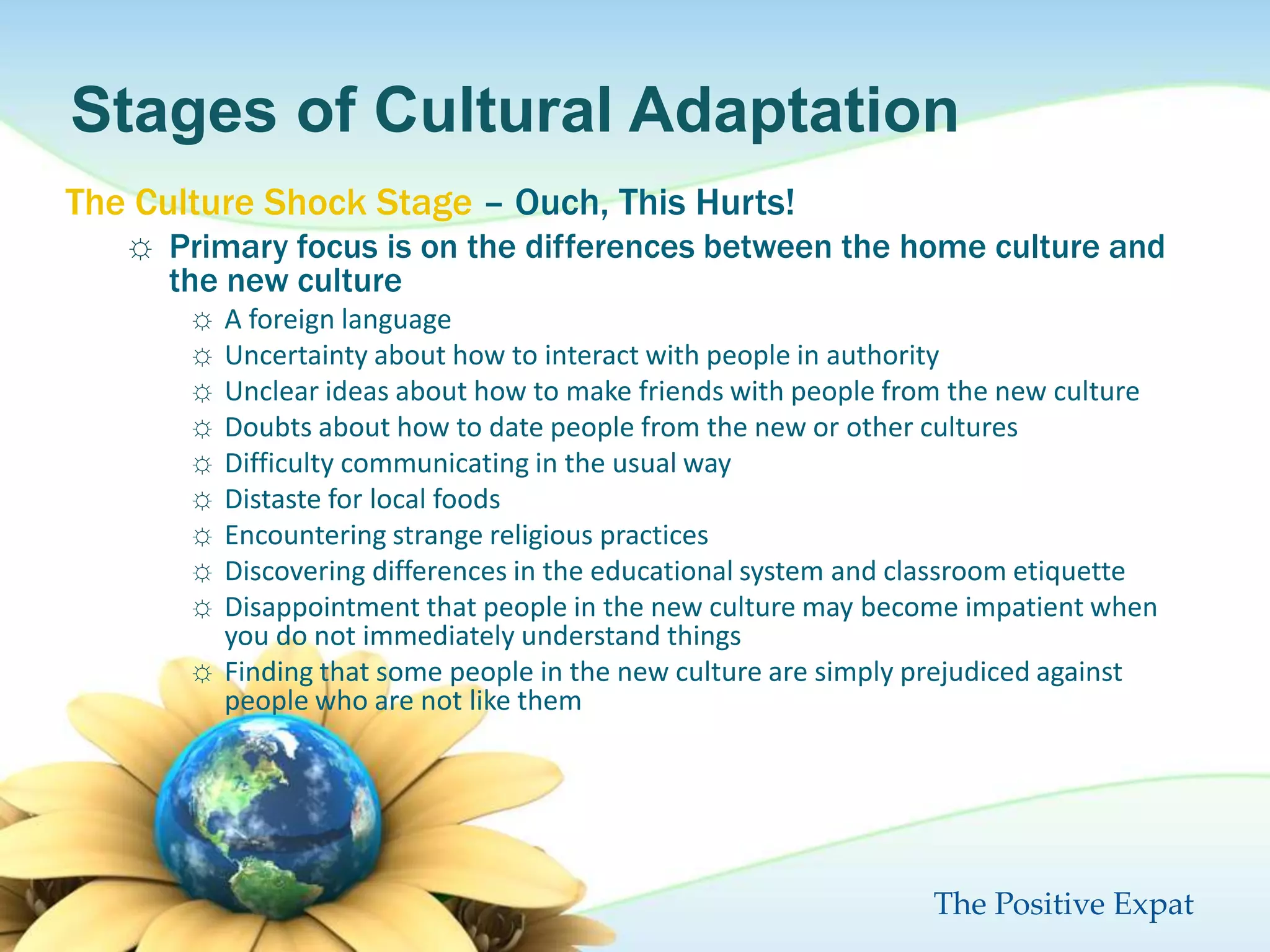 Cultural Adaptation by The Positive Expat | PPTX