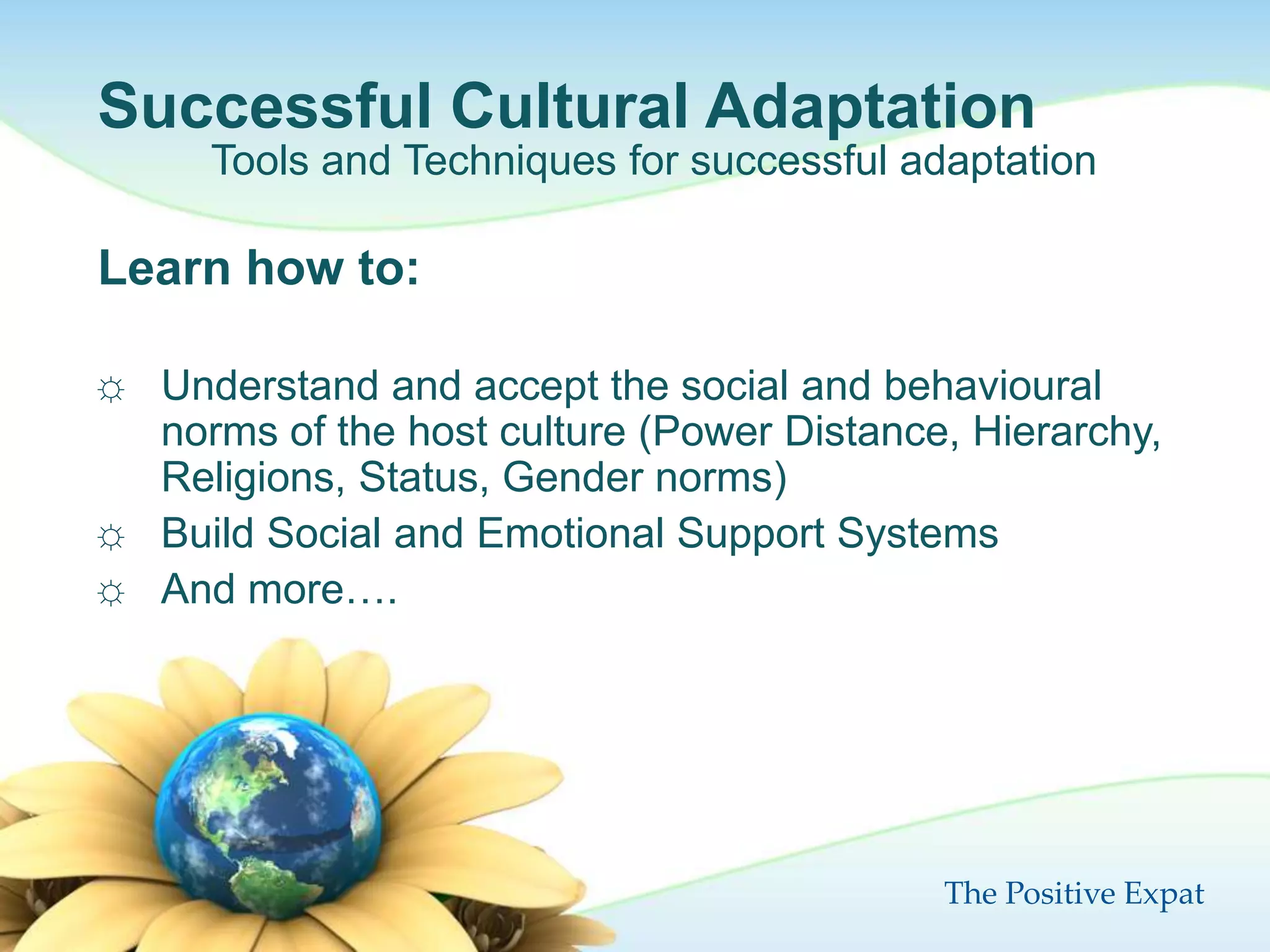 Cultural Adaptation by The Positive Expat | PPTX