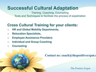 Cultural Adaptation by The Positive Expat | PPTX