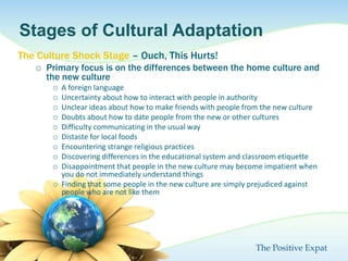 Cultural Adaptation by The Positive Expat | PPTX