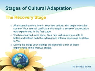 Cultural Adaptation by The Positive Expat | PPTX