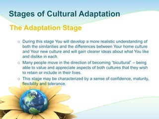 Cultural Adaptation by The Positive Expat | PPTX