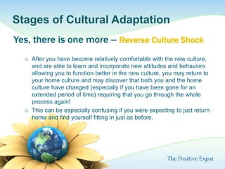 Cultural Adaptation by The Positive Expat | PPTX