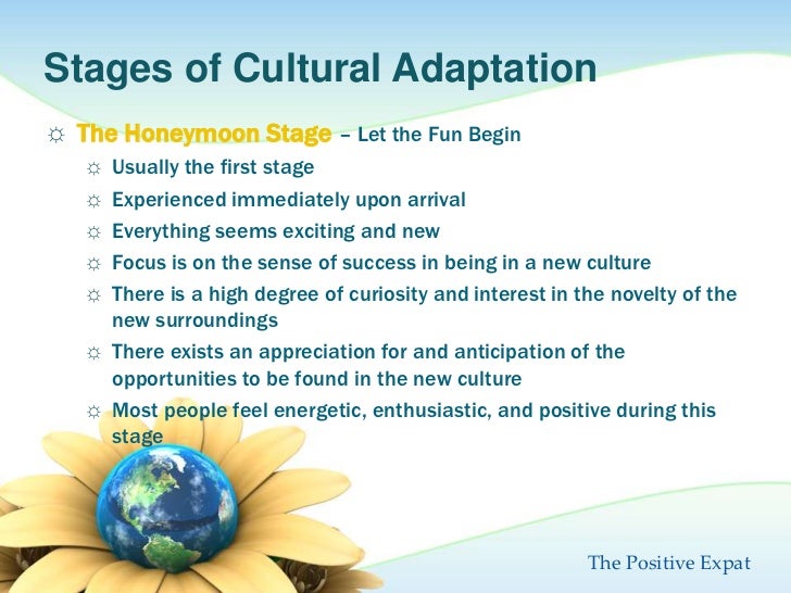 Cultural Adaptation by The Positive Expat