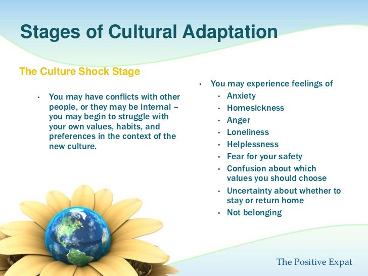 Cultural Adaptation by The Positive Expat