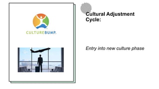 Cultural Adjustment.pptx