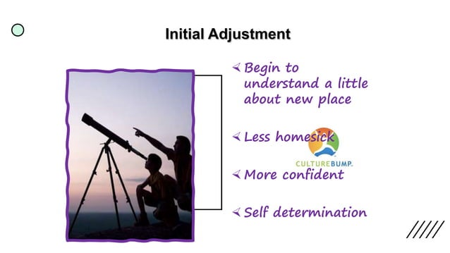 Cultural Adjustment.pptx