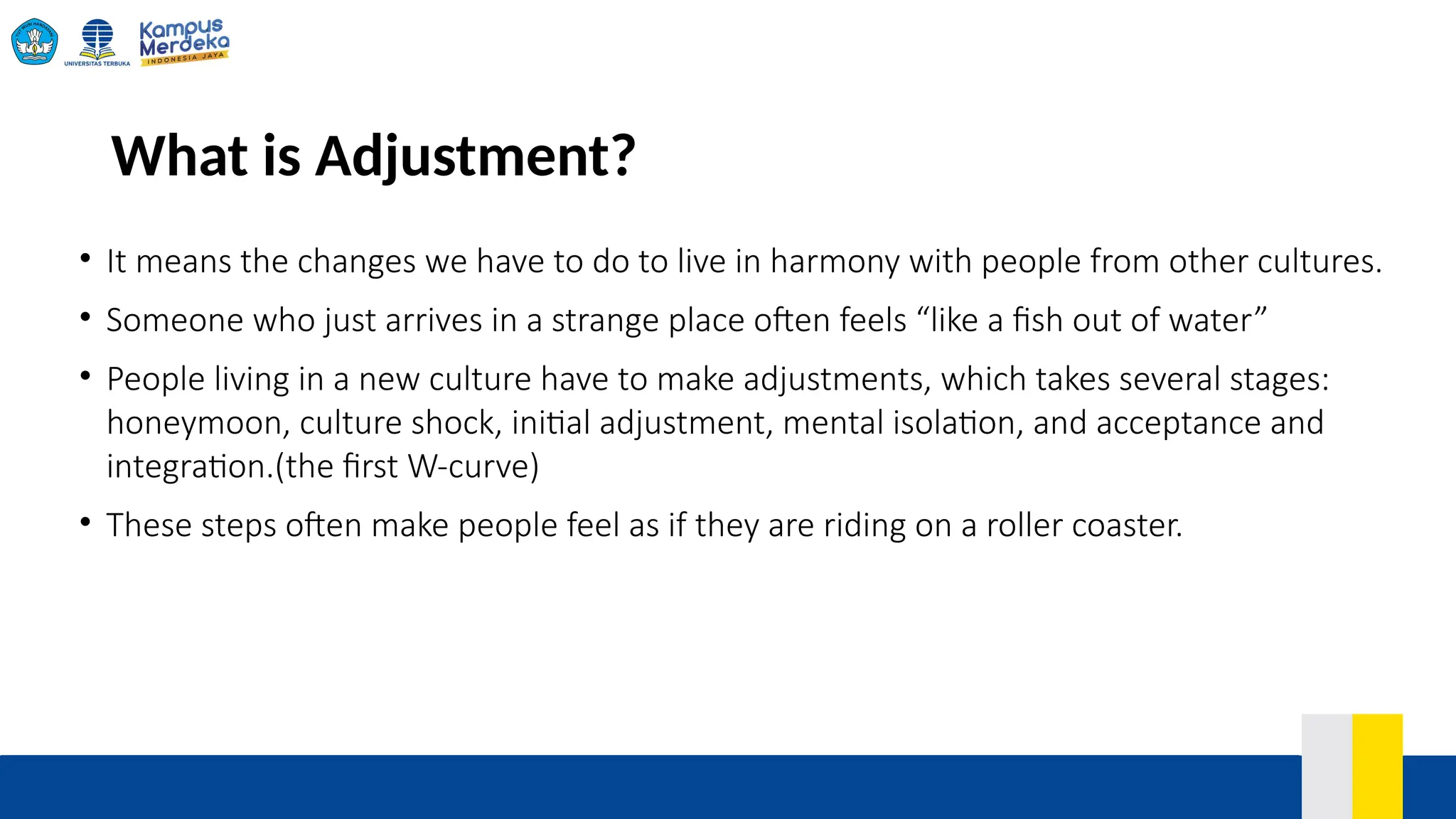 Cultural Adjustment in Indonesdoa Raya.pptx