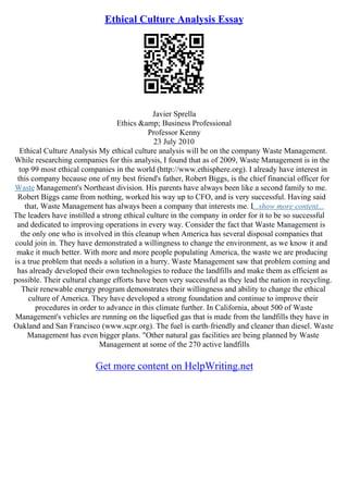 Cultural Analysis Essay | PDF