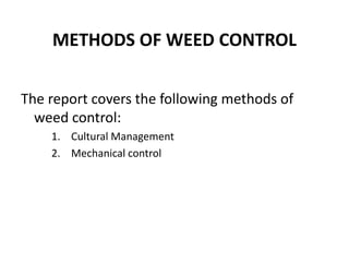 Cultural and Mechanical Control of Weeds | PPTX | Agriculture | Industries