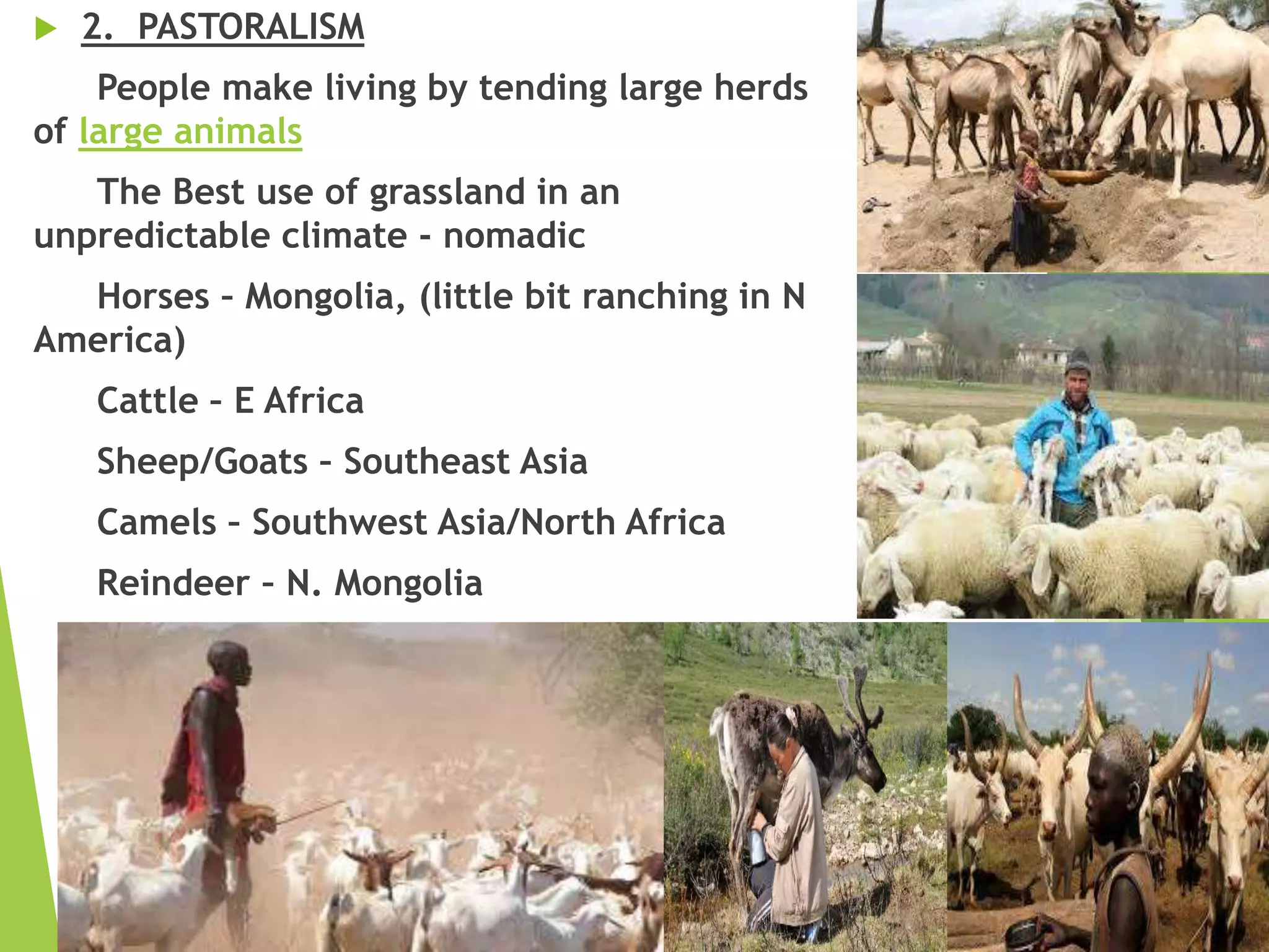 Cultural anthropology subsistence | PPTX