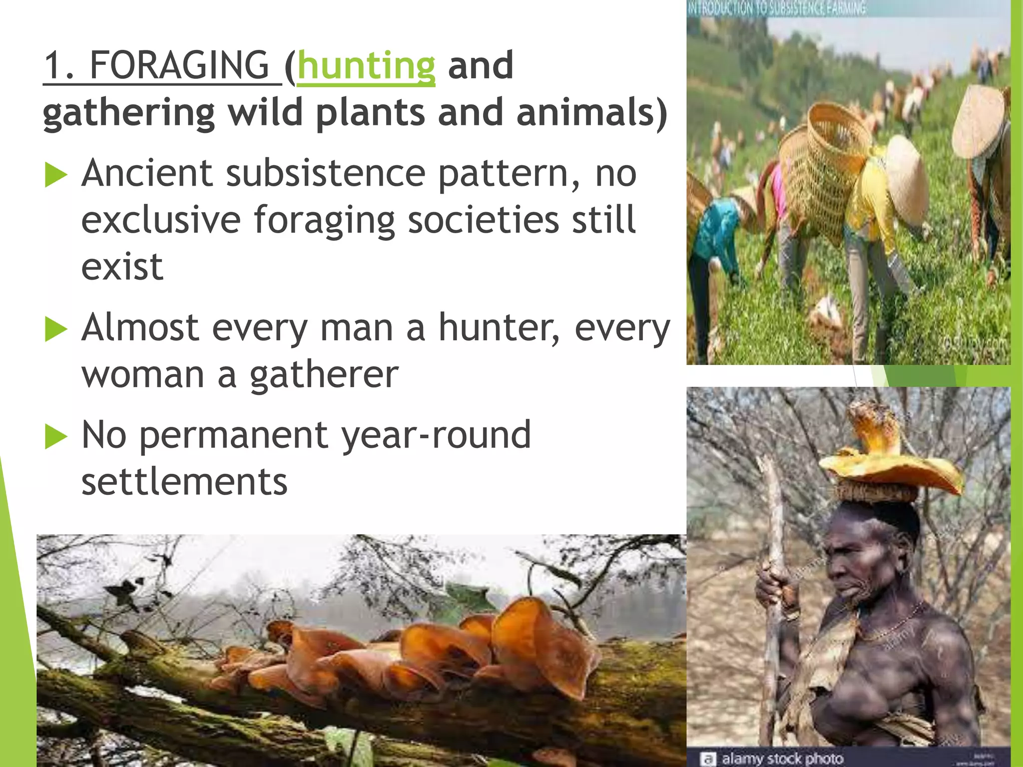 Cultural anthropology subsistence | PPTX