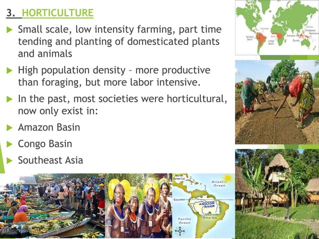 Cultural anthropology subsistence | PPTX | Agriculture | Industries