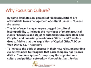 Cultural Audit | PPTX | Business | Business and Finance