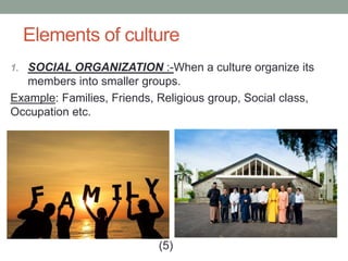 Cultural change and diversity | PPTX