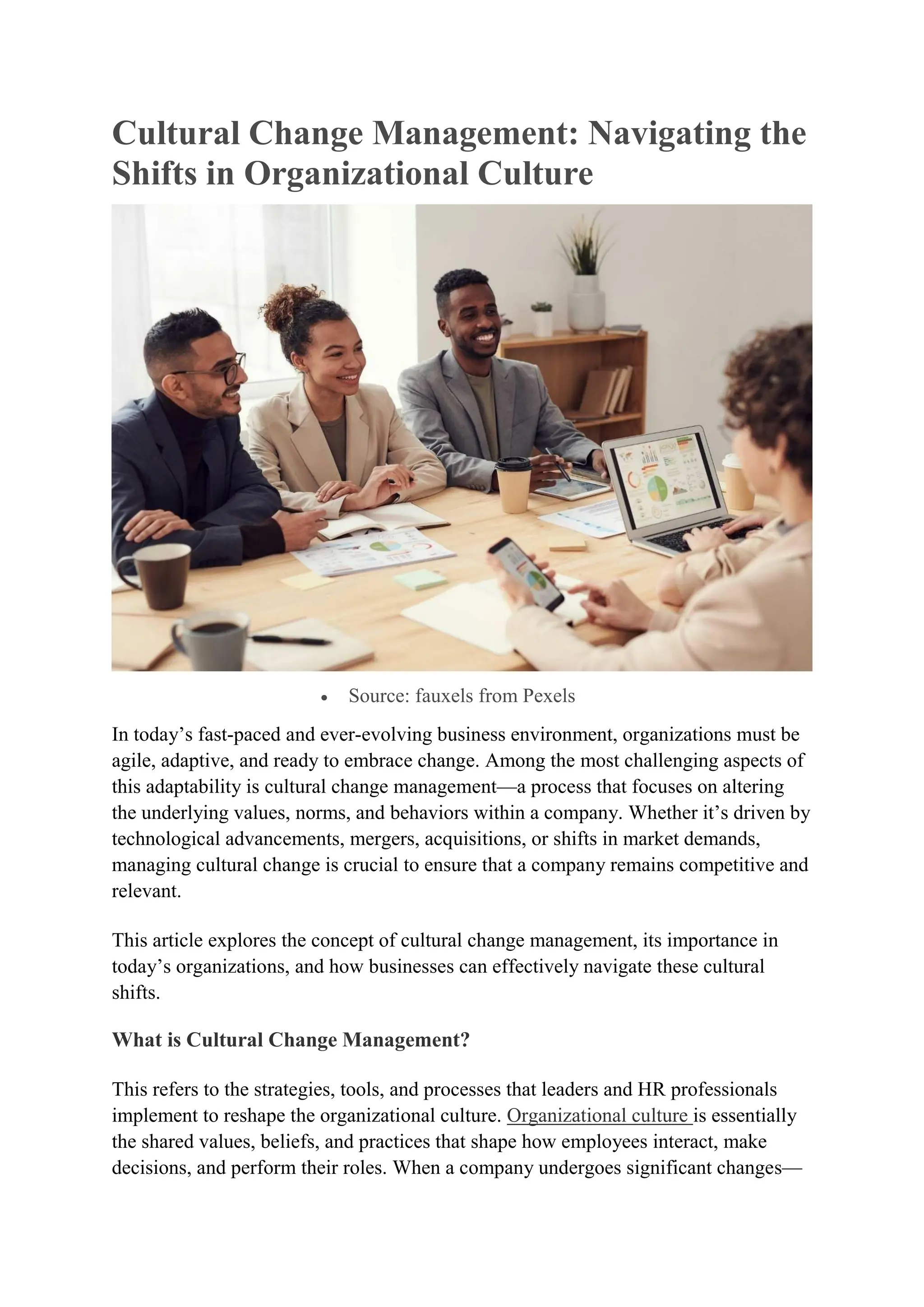 5 Key Steps in Cultural Change Management | Visionary CIOs | PDF