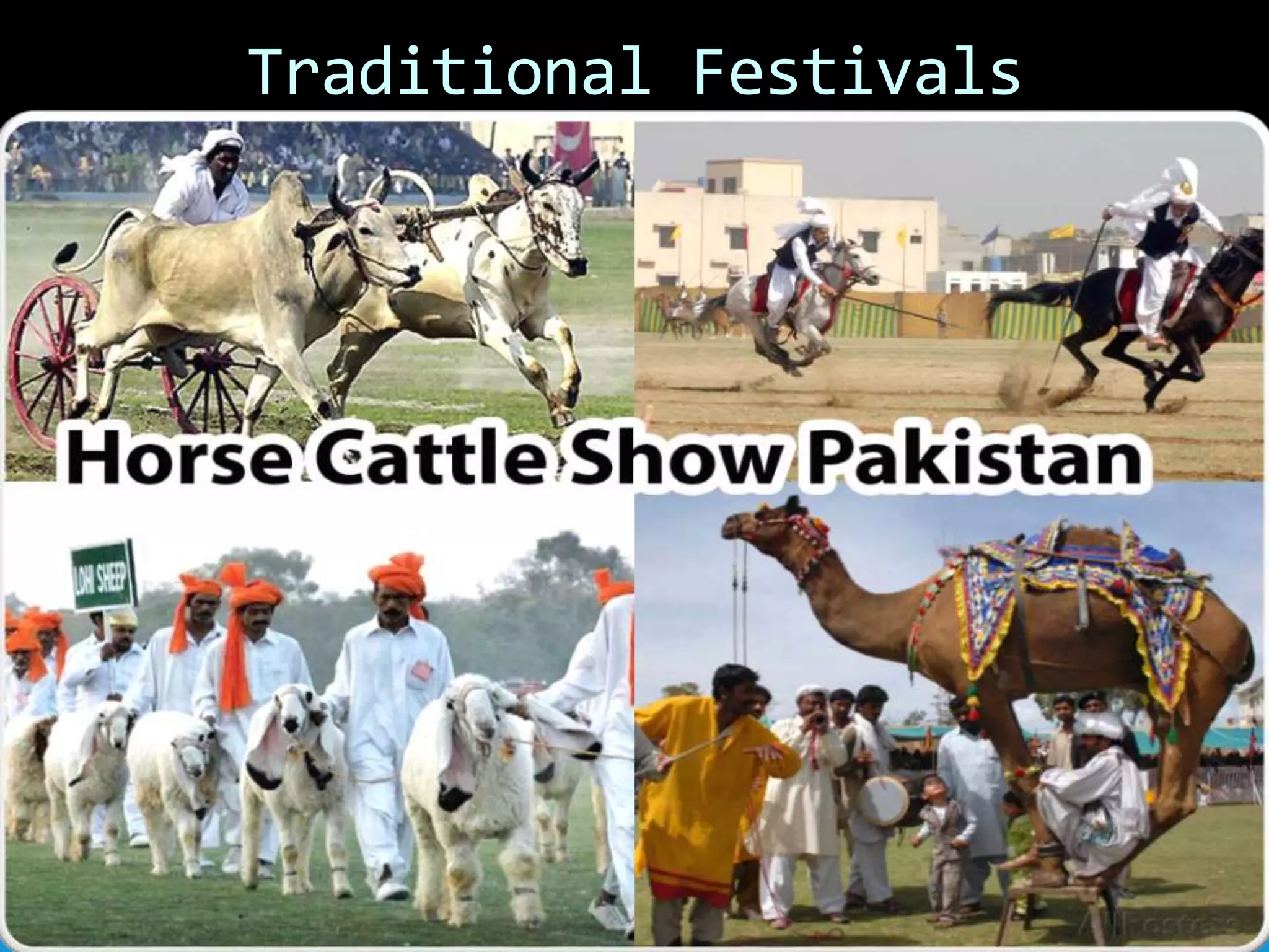 Cultural colors of punjab | PPTX
