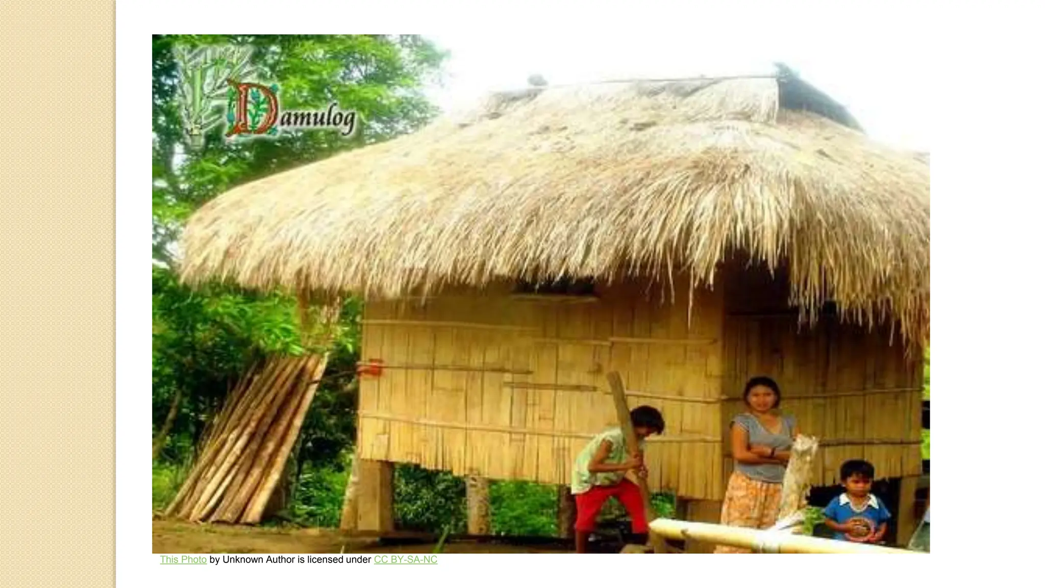 CULTURAL_COMMUNITIES_IN_MINDANAO_PHILIPPINES.pptx