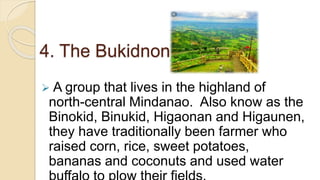 CULTURAL_COMMUNITIES_IN_MINDANAO_PHILIPPINES.pptx