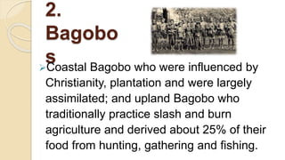 CULTURAL_COMMUNITIES_IN_MINDANAO_PHILIPPINES.pptx