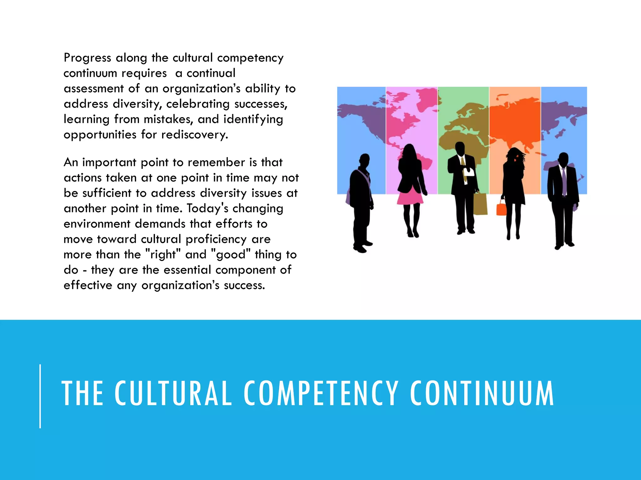 Cultural Competence | PDF