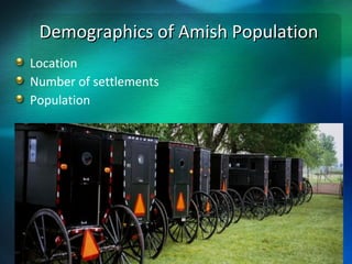 Amish Insemination