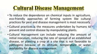 Cultural Disease Management Strategies.pptx | Agriculture | Industries