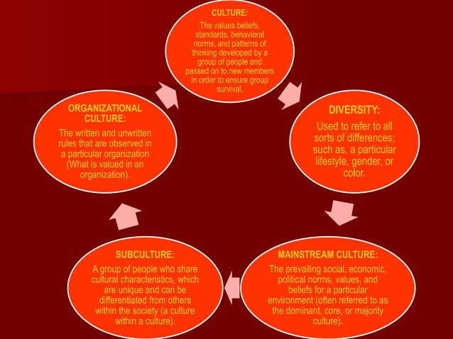 Introduction to Cultural Diversity | PPTX