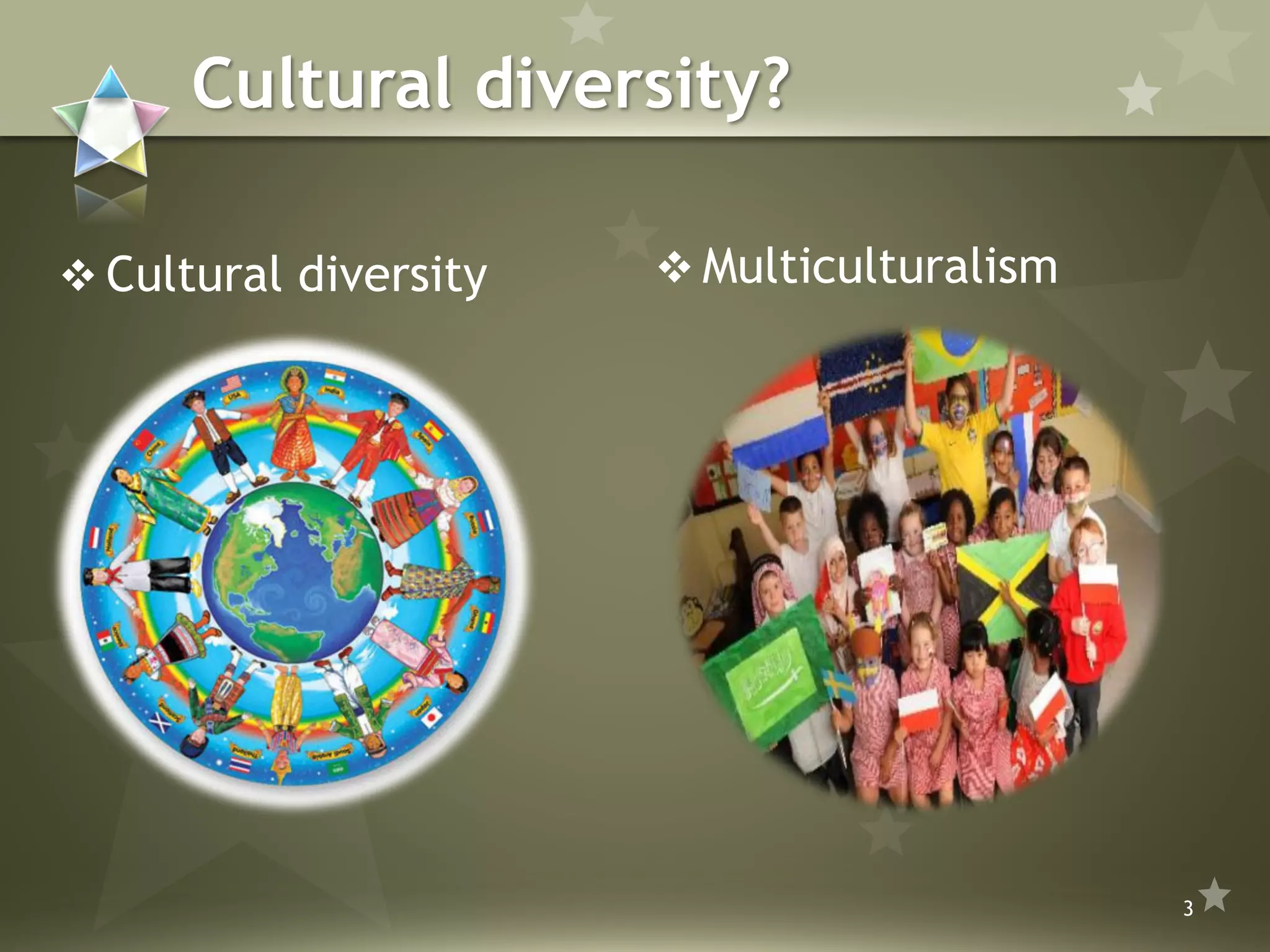 Cultural diversity | PDF