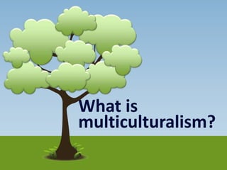 Cultural diversity | PPTX