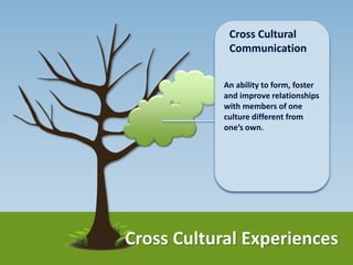 Cultural diversity | PPTX