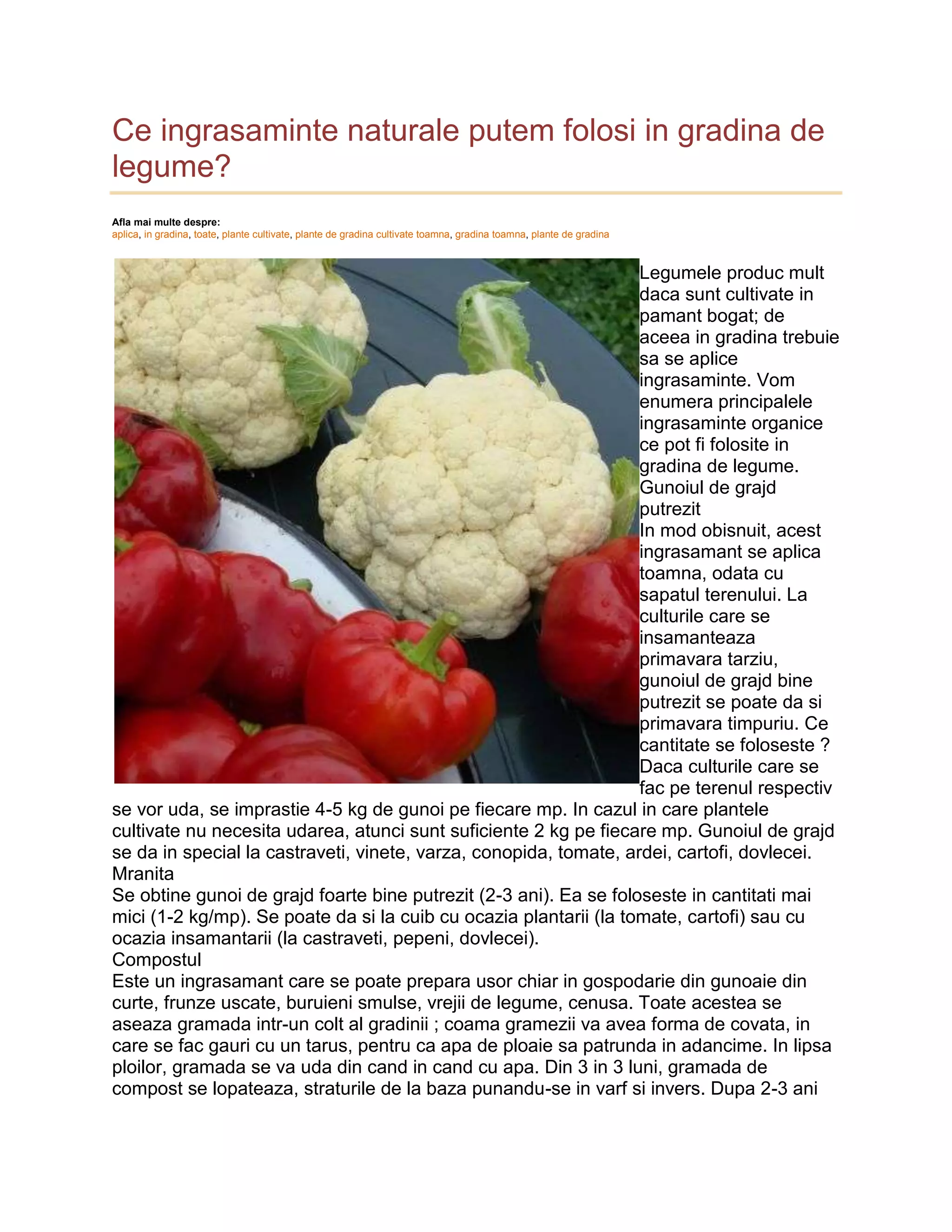 Cultura legumelor in solarii | DOCX