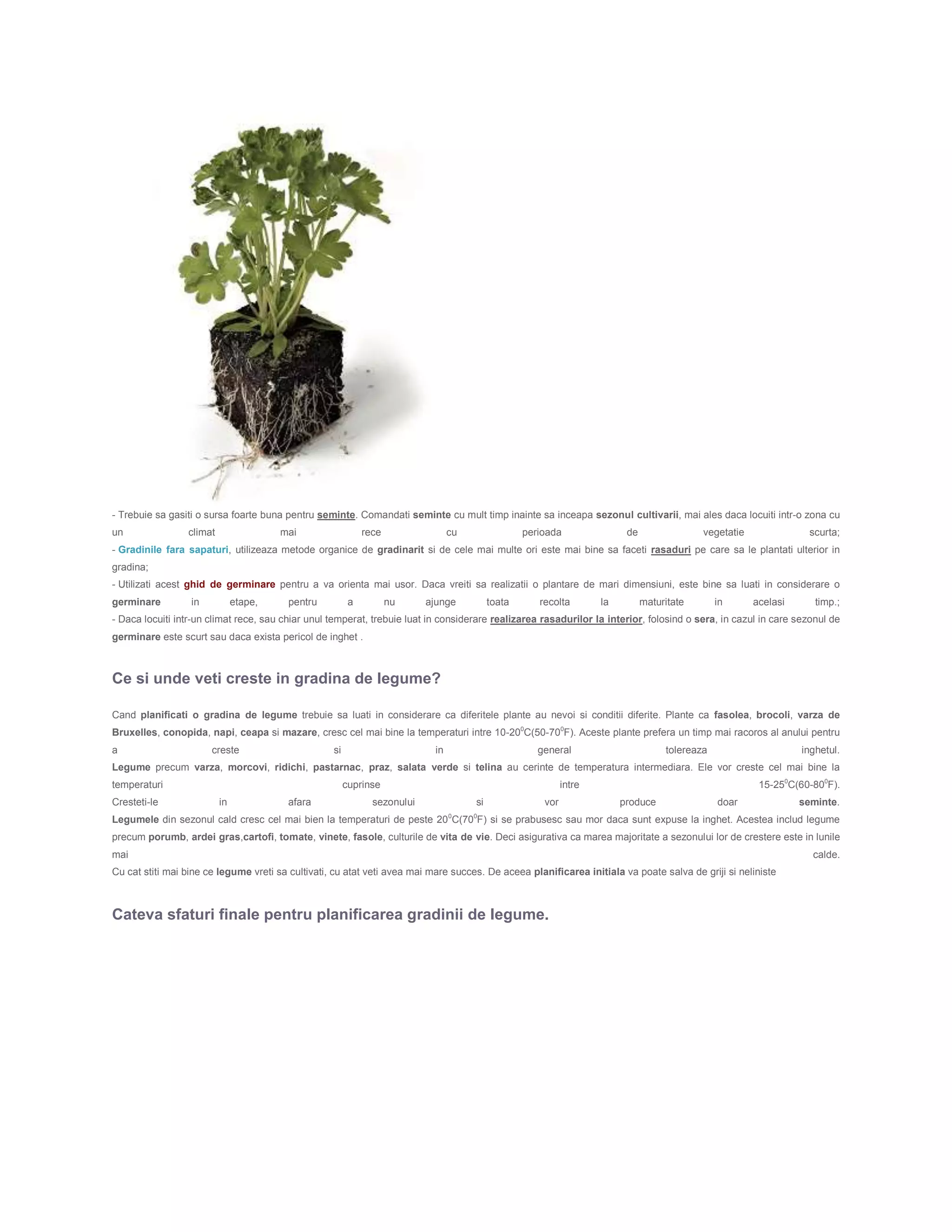 Cultura legumelor in solarii | DOCX