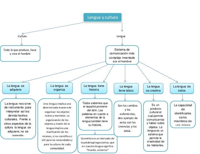 Mapa Conceptual Sobre La Lengua - book-jb1r