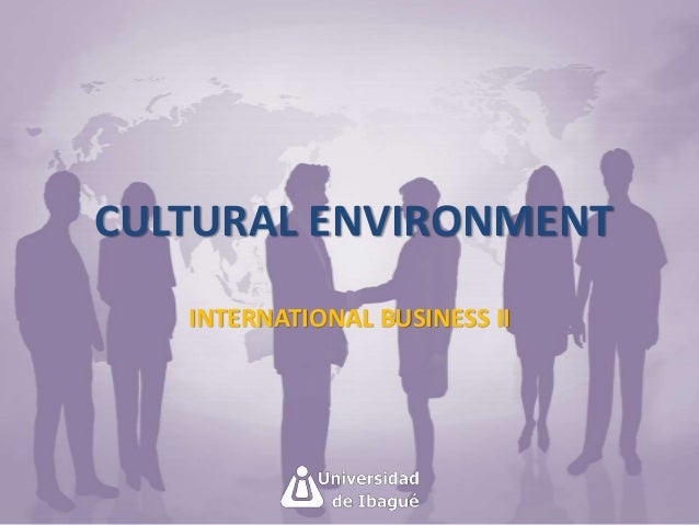 Cultural Environment