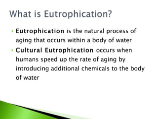 Cultural eutrophication | PPT