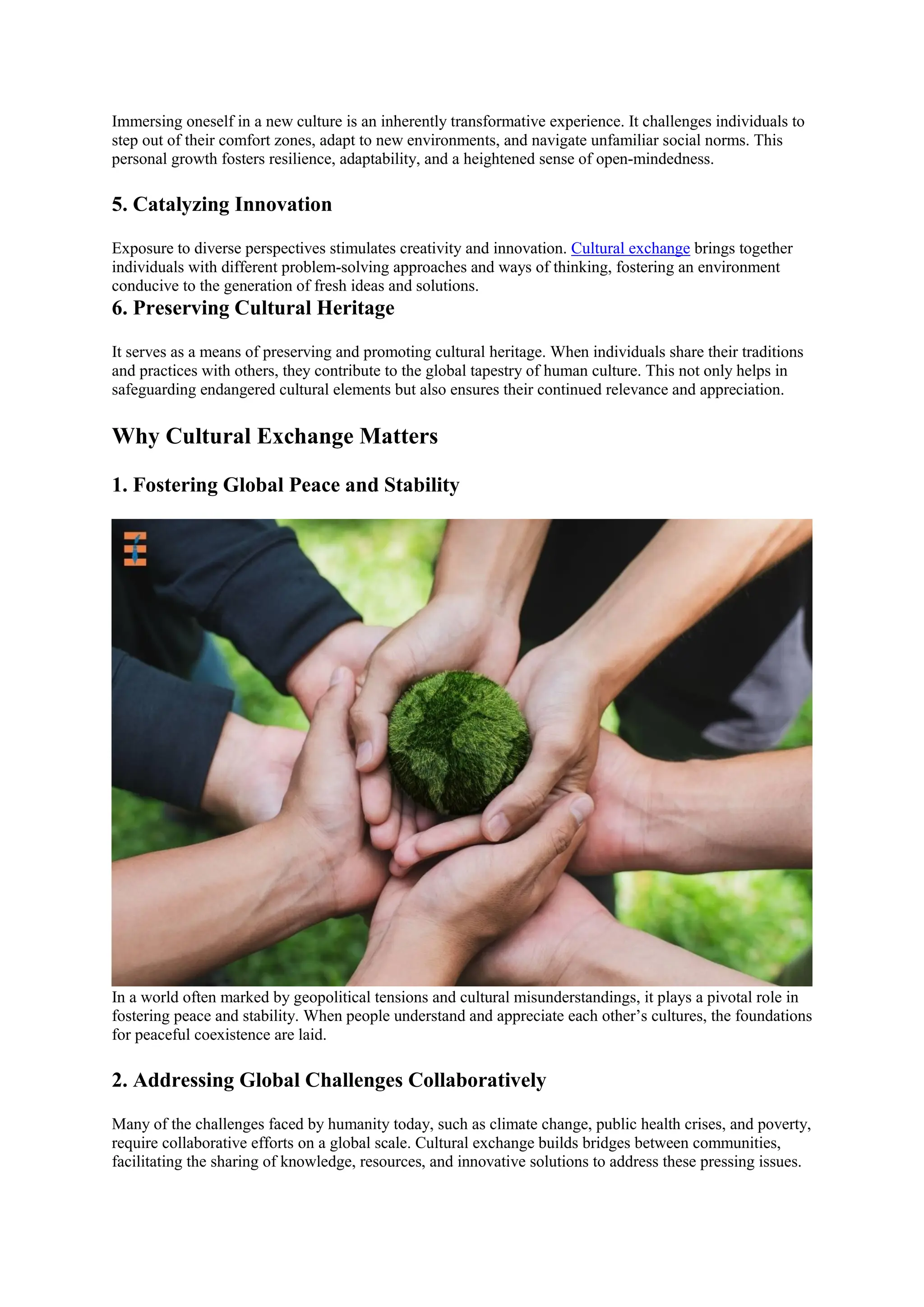 Cultural Exchange: What is Cultural Exchange and Why Exchanging Cultures Matters | PDF