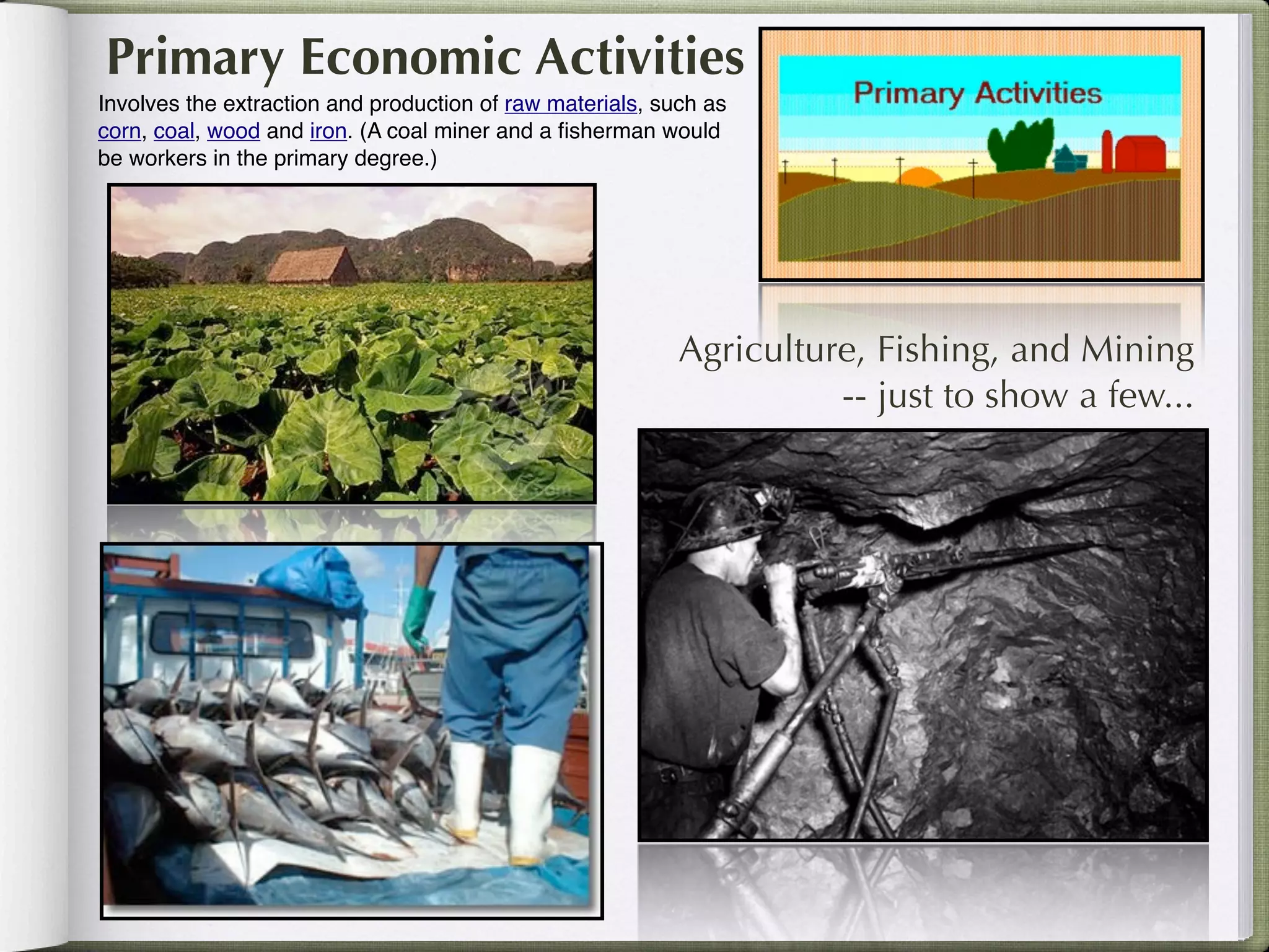 Cultural Geography - Economic Activities | KEY | Economy | Business and ...