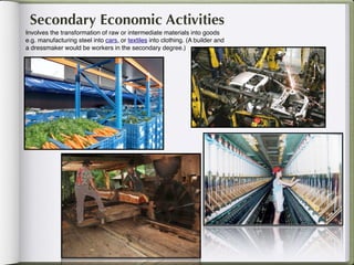 Cultural Geography - Economic Activities | KEY | Economy | Business and ...