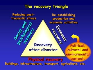 The cultural imprint on reconstruction | PPT