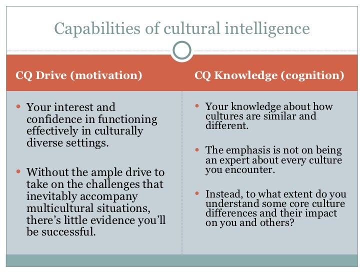 Cultural Intelligence