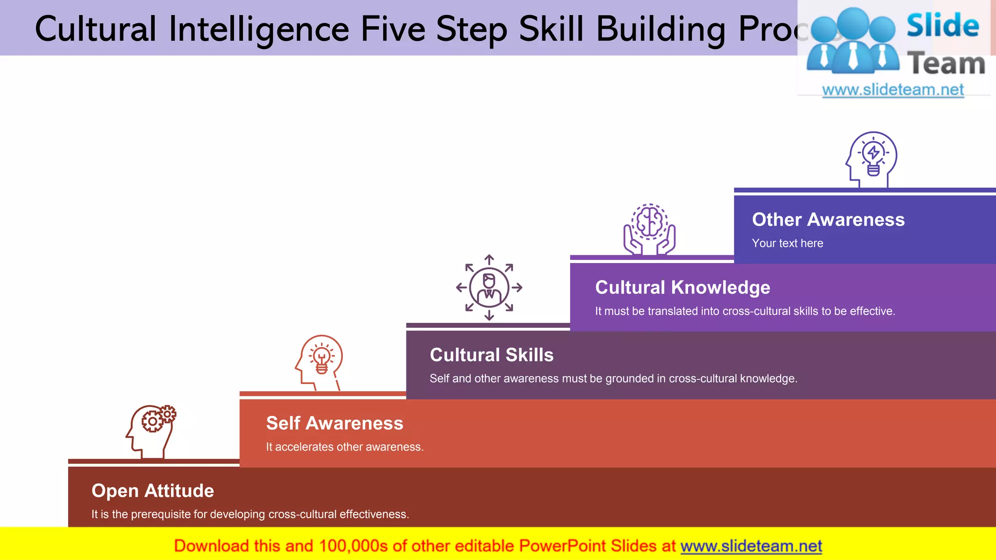 Cultural Intelligence PowerPoint Presentation Slides | PDF