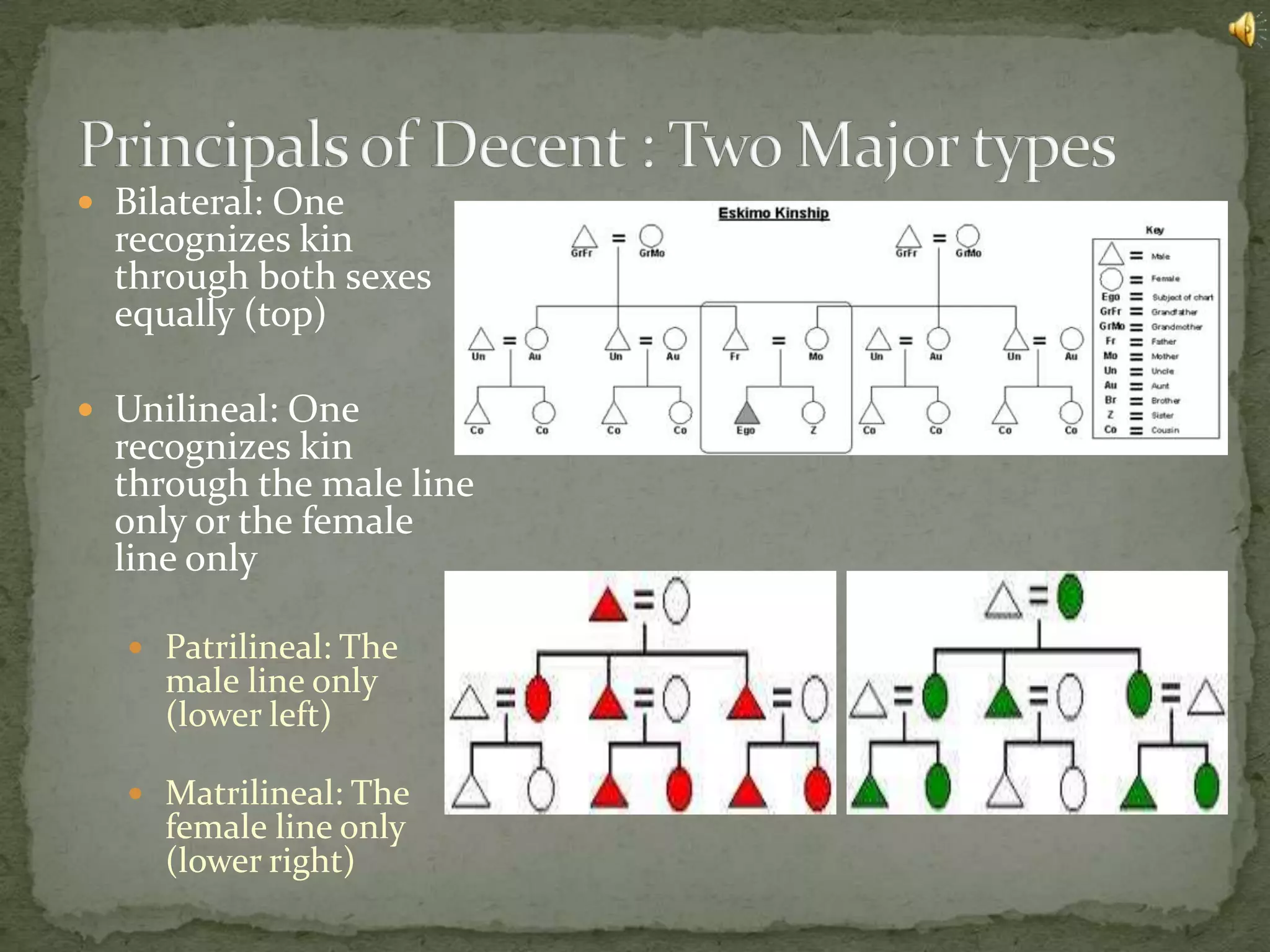 Cultural kinship presentation | PPSX