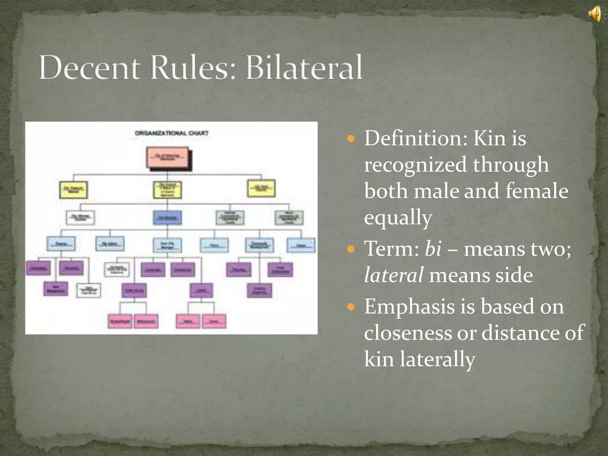 Cultural kinship presentation | PPSX