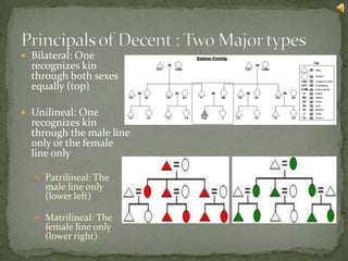 Cultural kinship presentation | PPSX