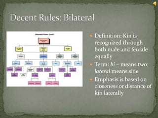 Cultural kinship presentation | PPSX