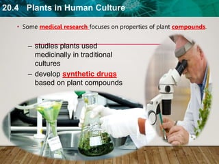 Culturally Significant Plants .ppt