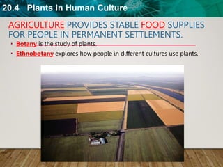 Culturally Significant Plants .ppt